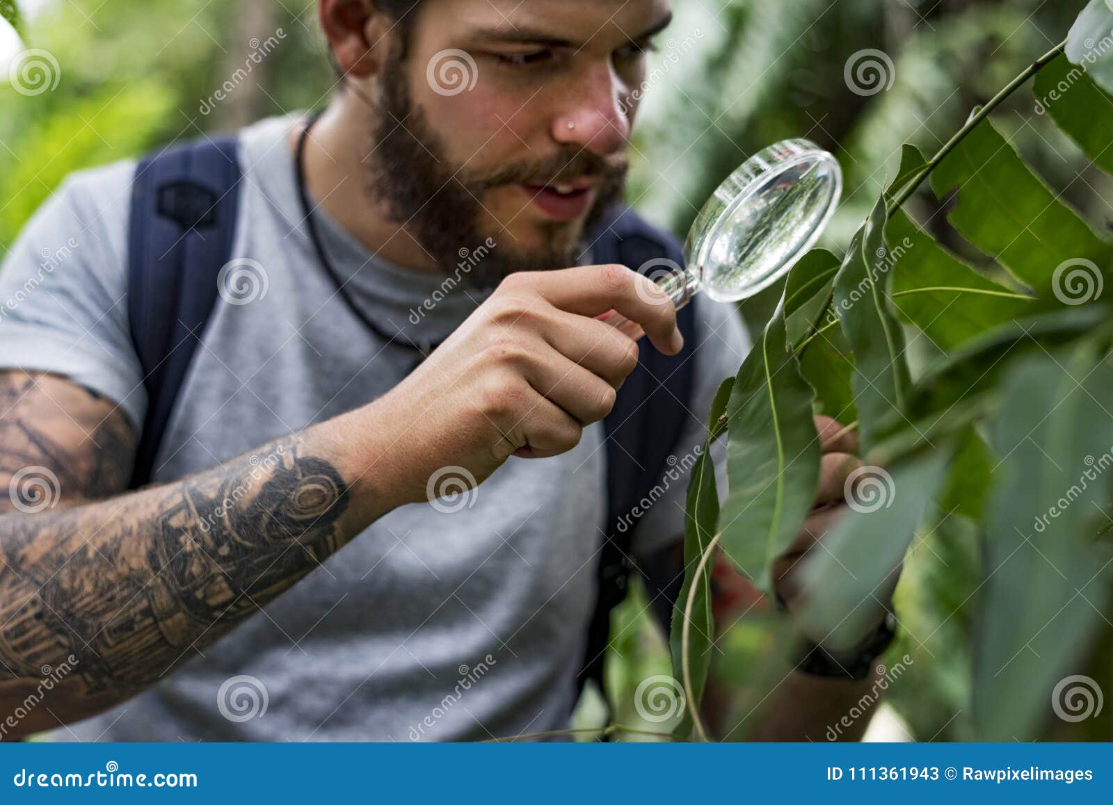 Biologist in a forest stock image. Image of group, activity - 111361943