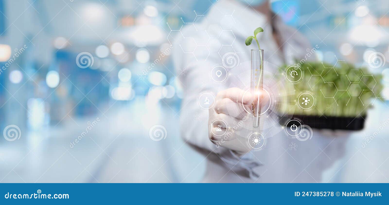 Biologist Laboratory Assistant Shows a Prototype Stock Photo - Image of ...