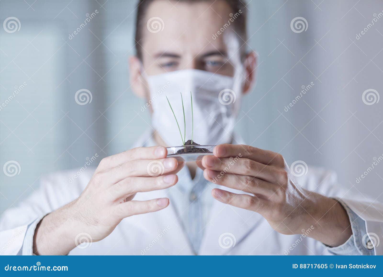 A biologist with the plant stock image. Image of biologist - 88717605