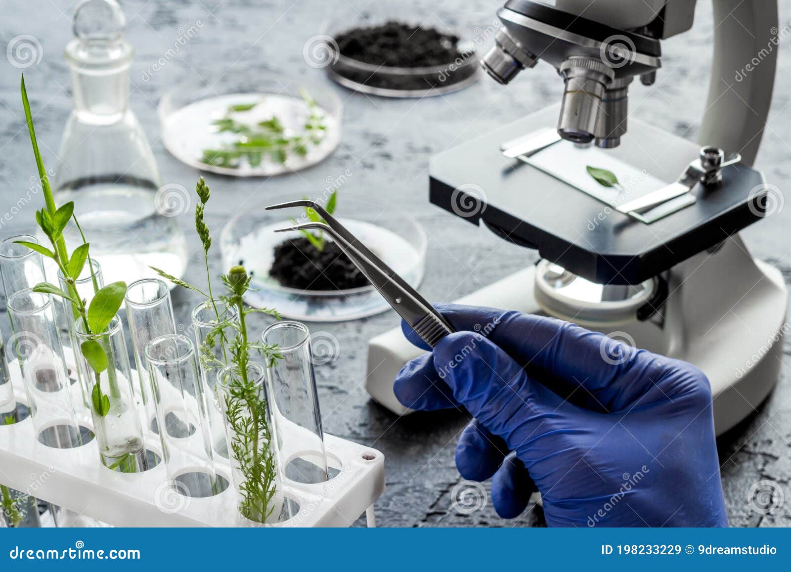 Biologist Researching Plants with Microscope in Biological Chemistry ...