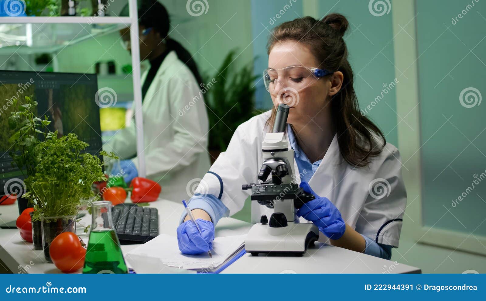 Biologist Scientist Looking at Leaf Sample Using Medical Microscope ...
