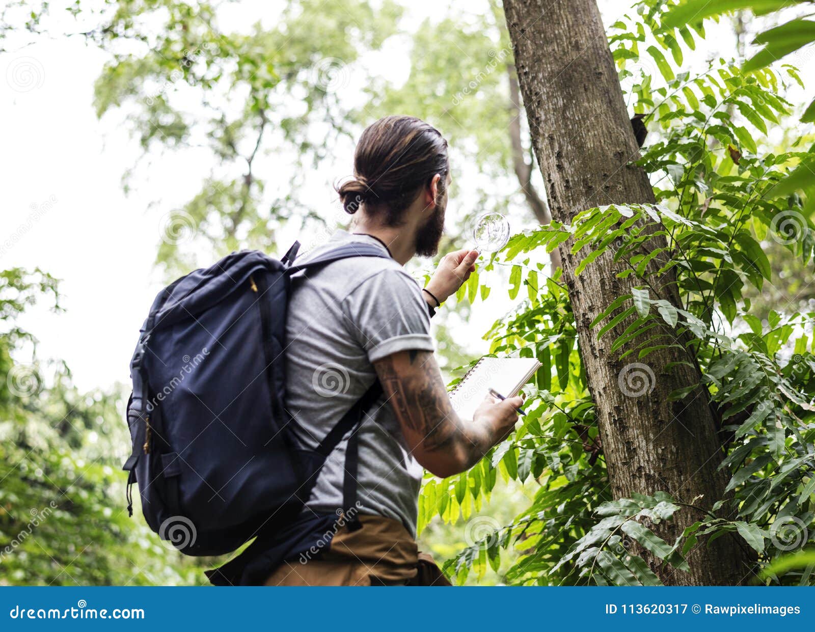 Biologist Studying Nature in a Forest Stock Image - Image of adventure ...
