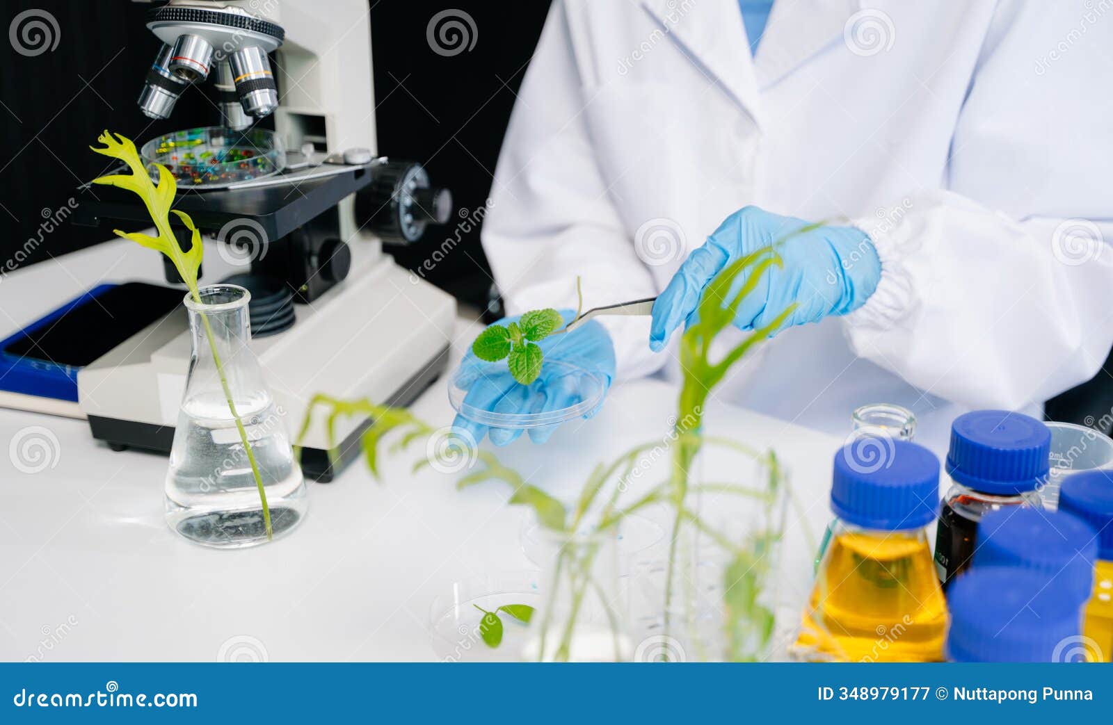 Biologist Taking Experiment with Plants Working in Biochemistry ...