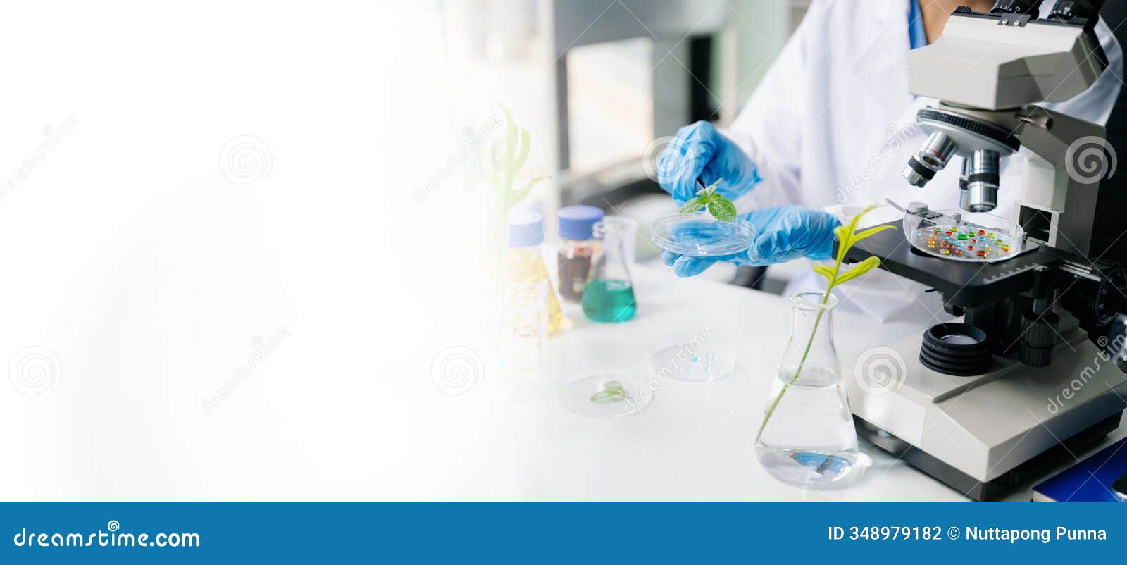 Biologist Taking Experiment with Plants Working in Biochemistry ...