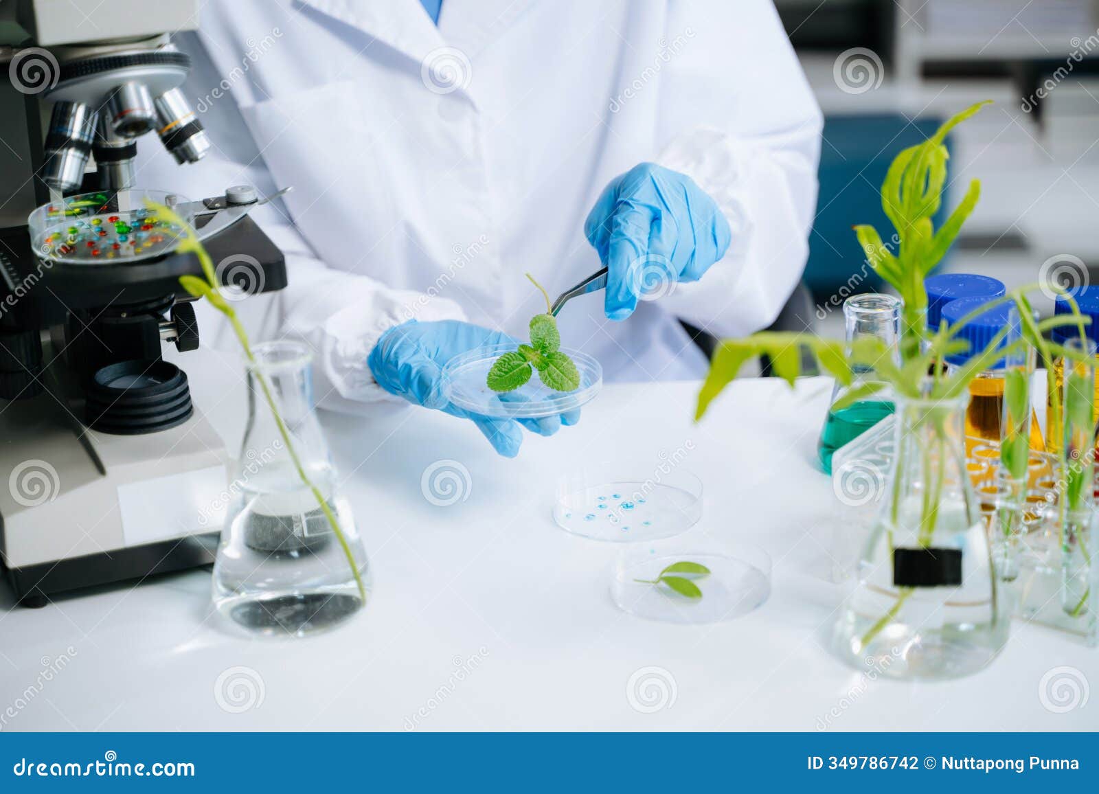 Biologist Taking Experiment with Plants Working in Biochemistry ...