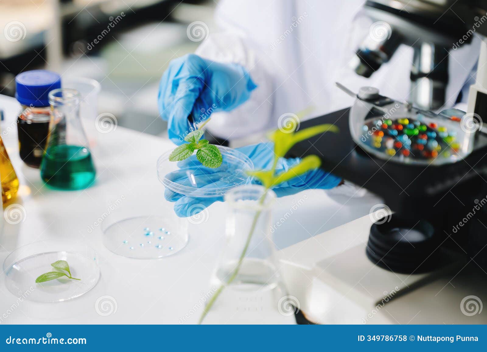 Biologist Taking Experiment with Plants Working in Biochemistry ...