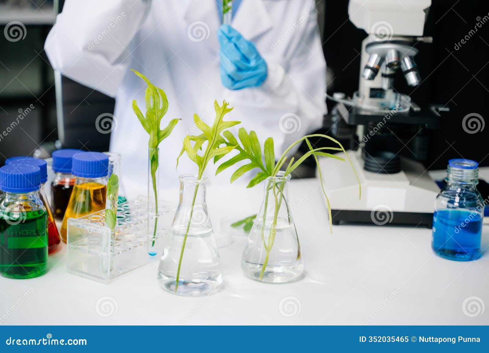Biologist Taking Experiment with Plants Working in Biochemistry ...
