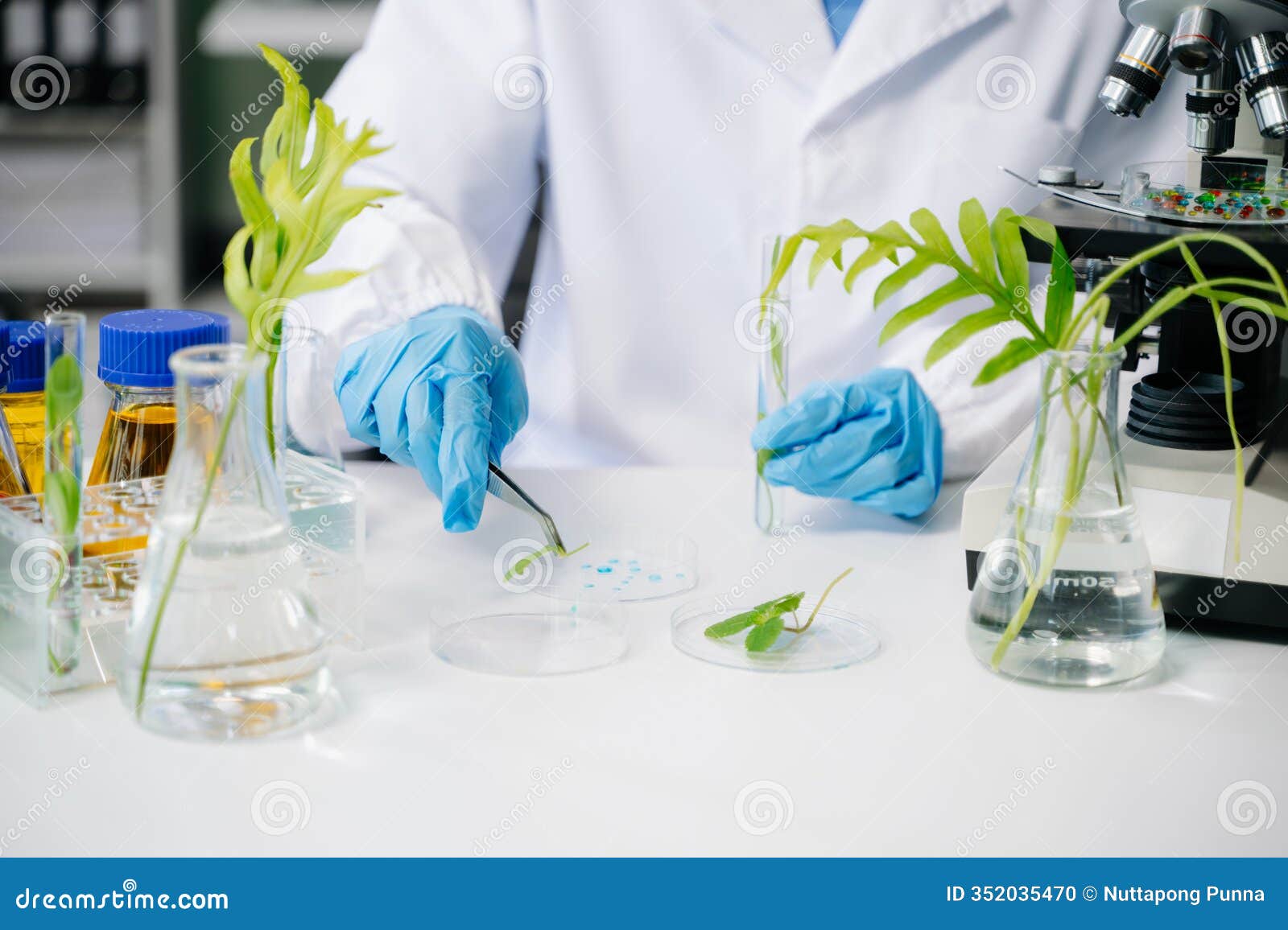 Biologist Taking Experiment with Plants Working in Biochemistry ...