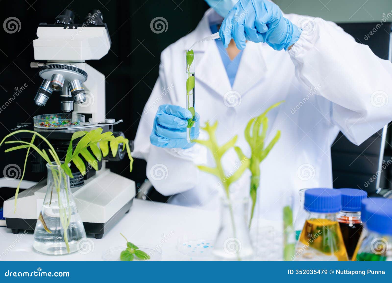 Biologist Taking Experiment with Plants Working in Biochemistry ...