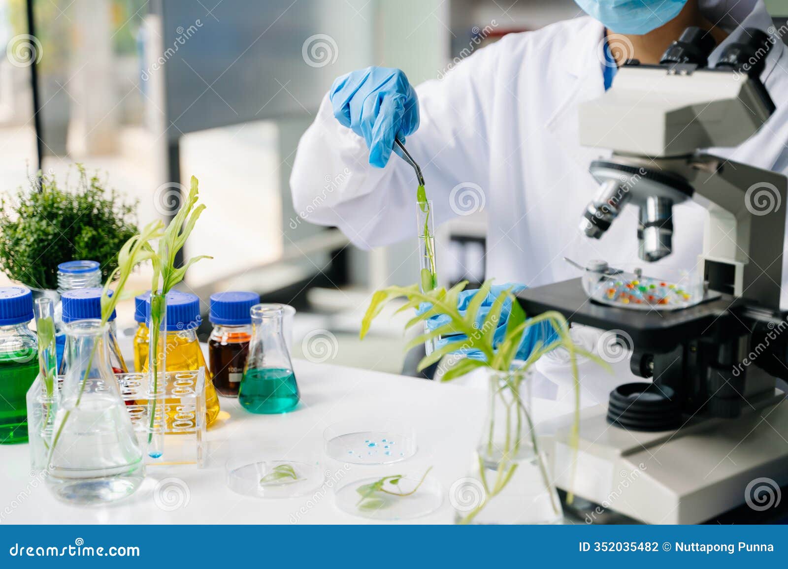 Biologist Taking Experiment with Plants Working in Biochemistry ...