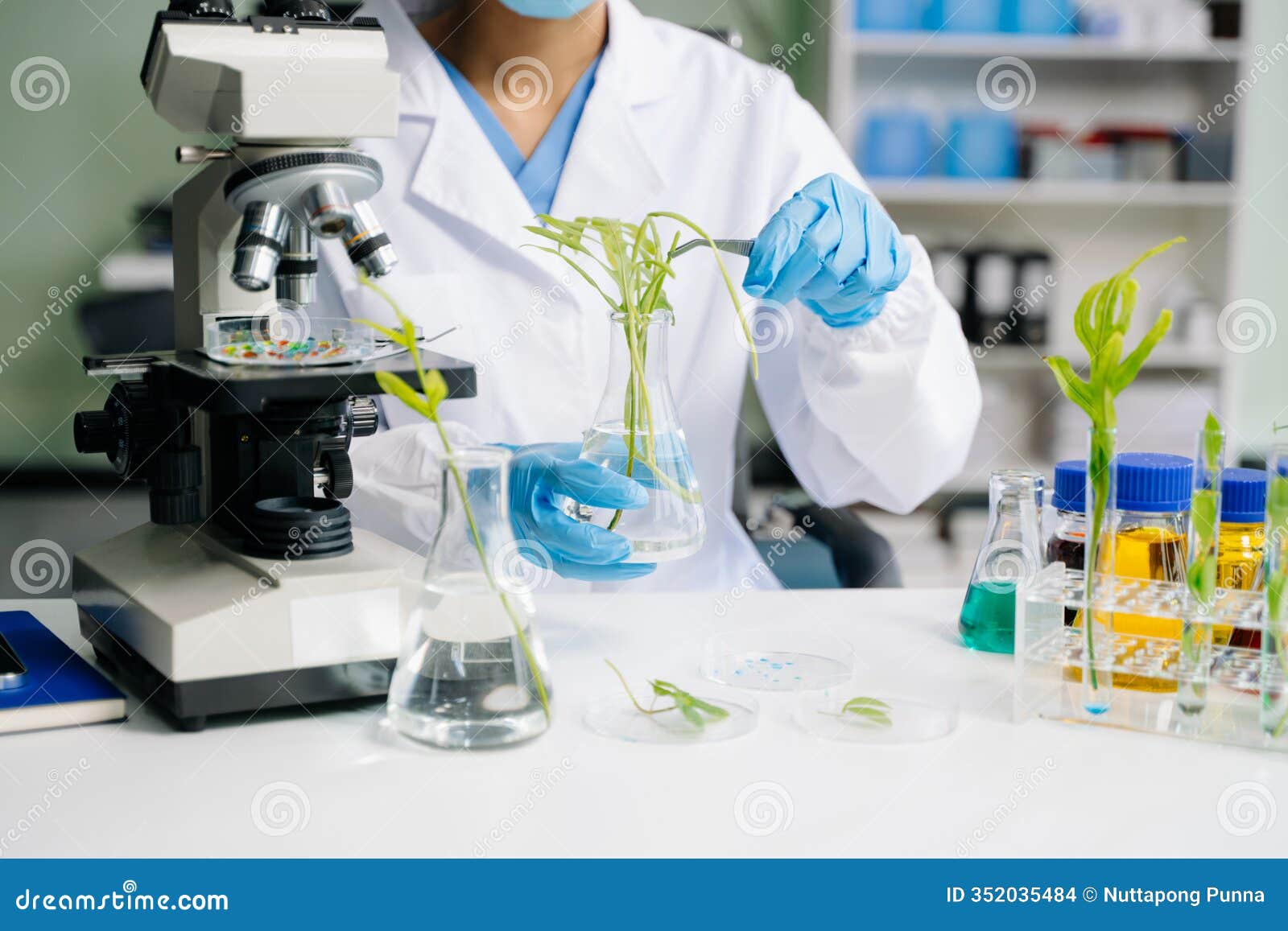 Biologist Taking Experiment with Plants Working in Biochemistry ...