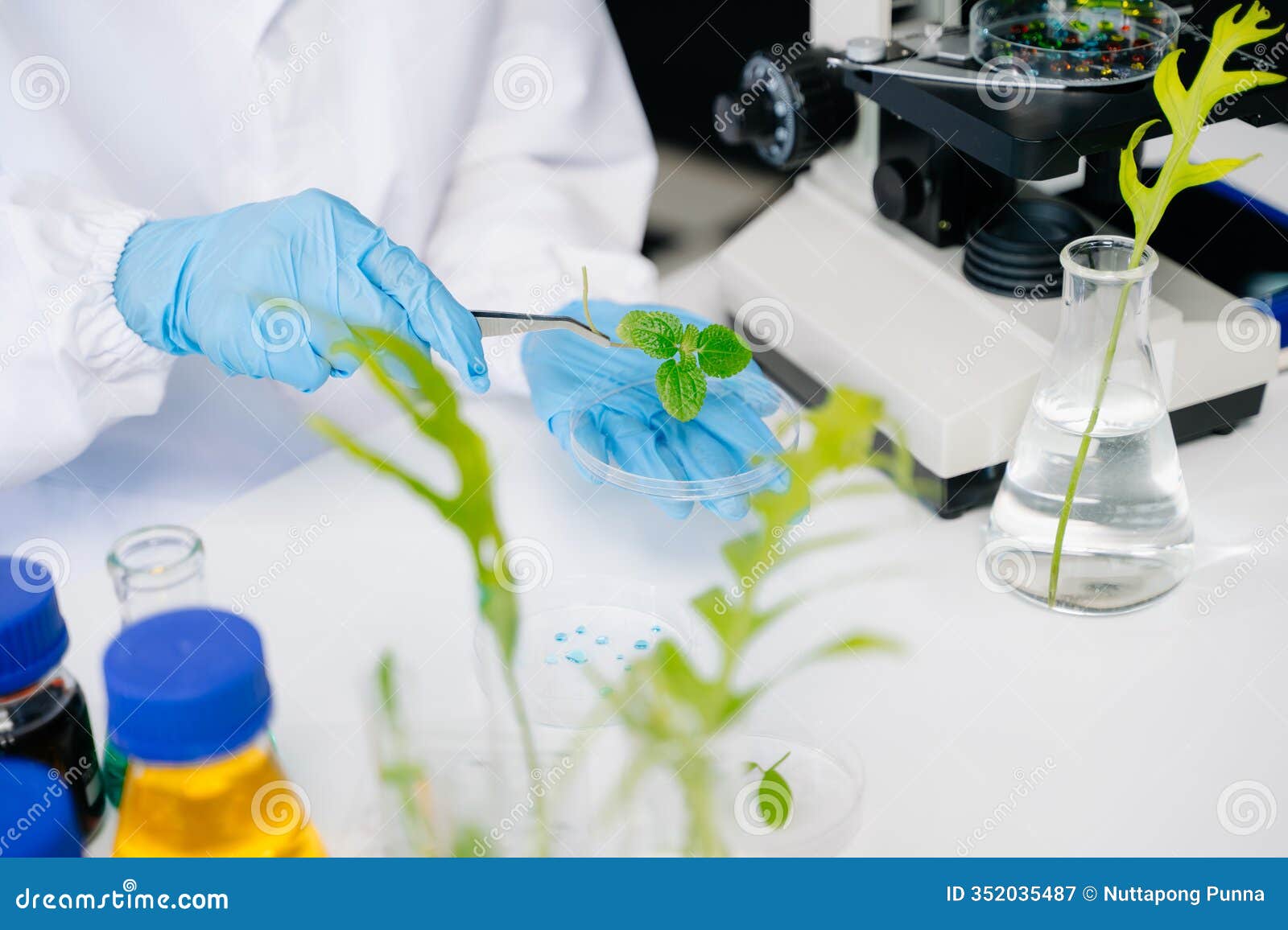 Biologist Taking Experiment with Plants Working in Biochemistry ...