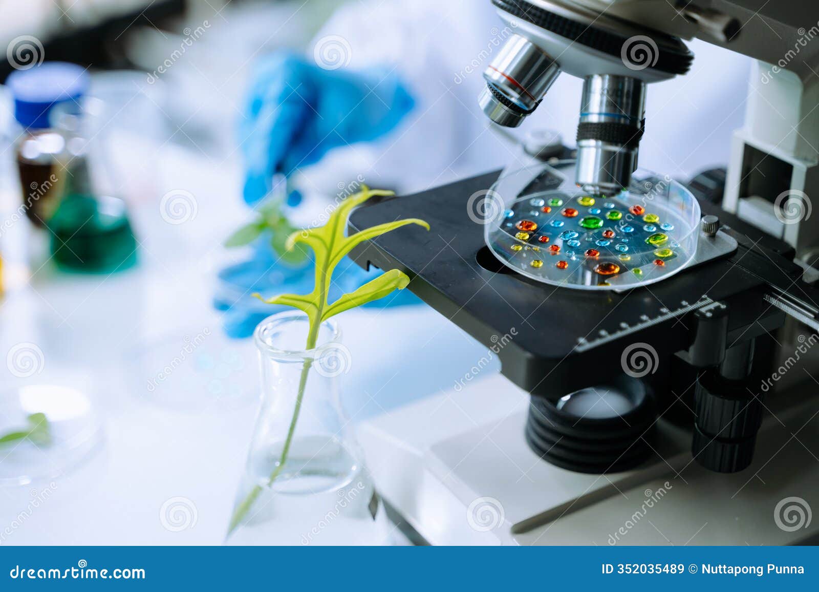 Biologist Taking Experiment with Plants Working in Biochemistry ...