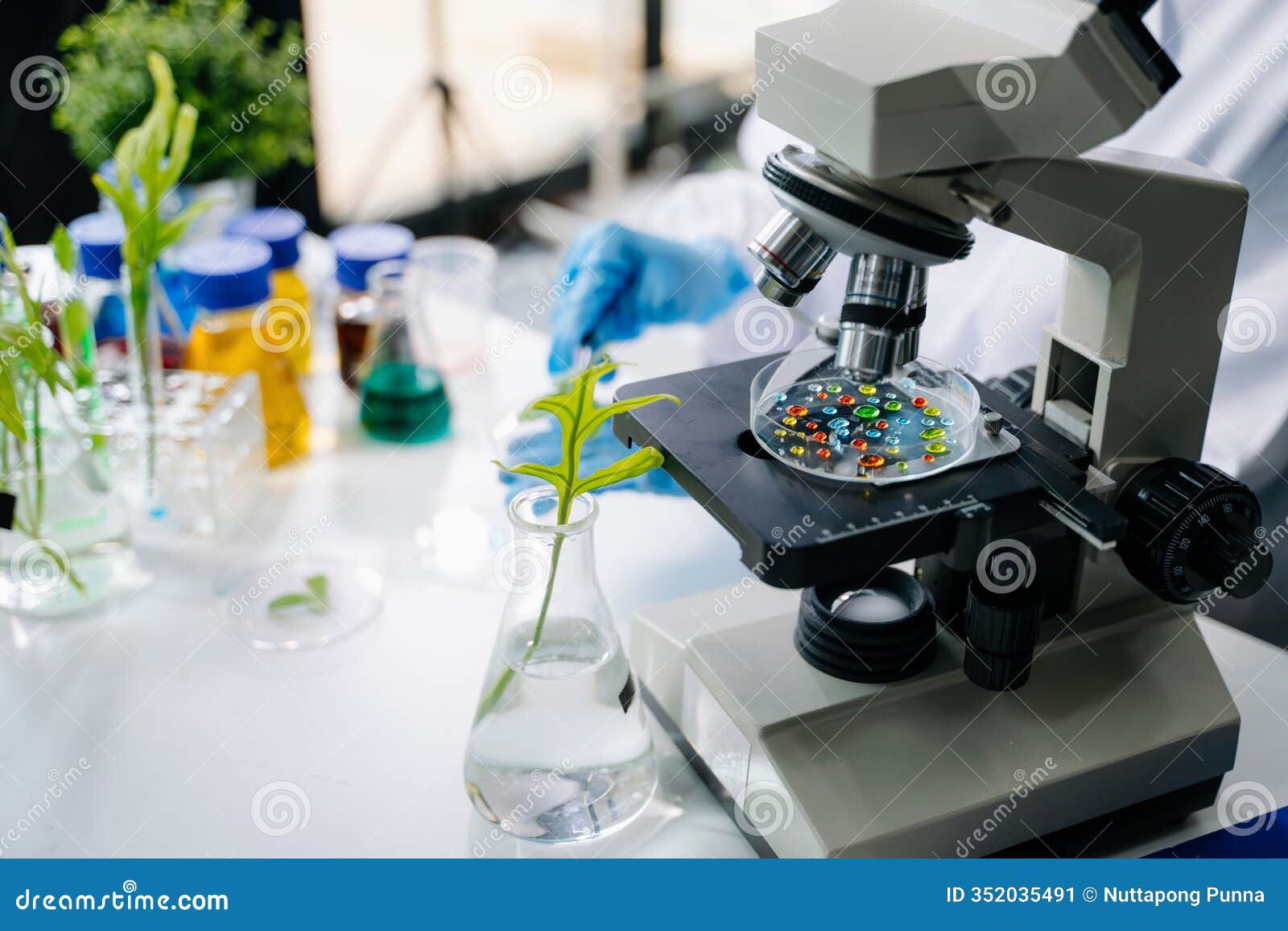 Biologist Taking Experiment with Plants Working in Biochemistry ...