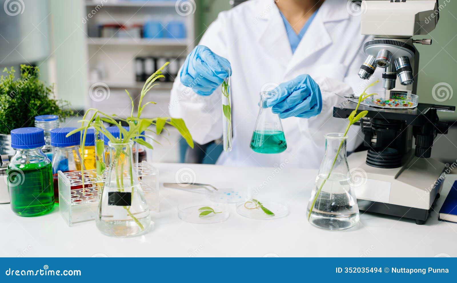 Biologist Taking Experiment with Plants Working in Biochemistry ...