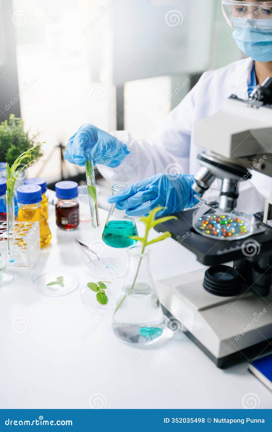 Biologist Taking Experiment with Plants Working in Biochemistry ...