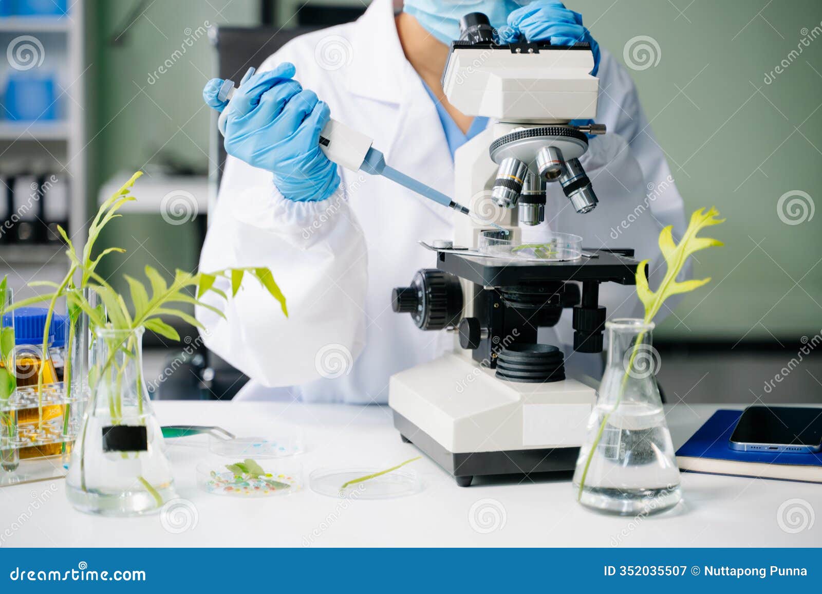Biologist Taking Experiment with Plants Working in Biochemistry ...