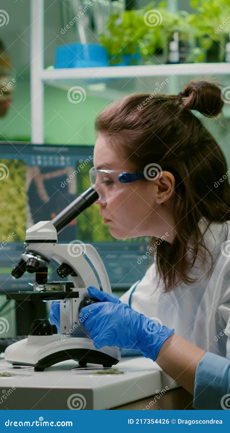 Biologist Taking Leaf Sample Putting into Microscope Stock Photo ...