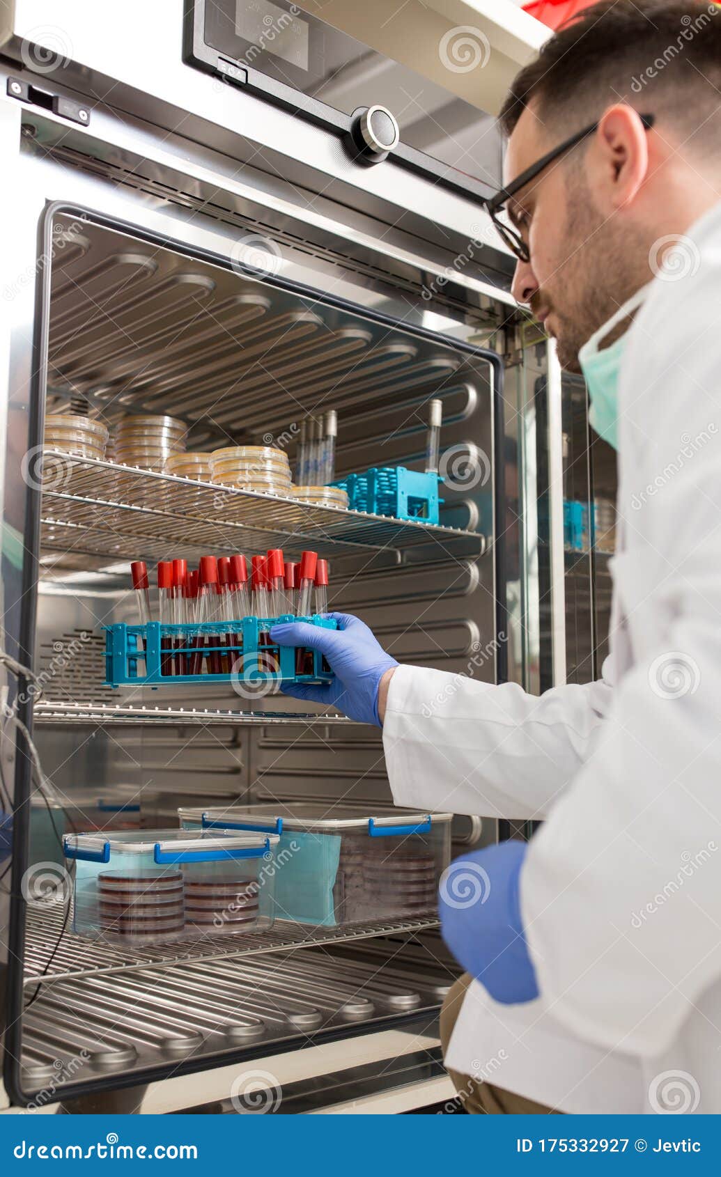 Biologists Taking Out Samples from Incubator Stock Image - Image of ...