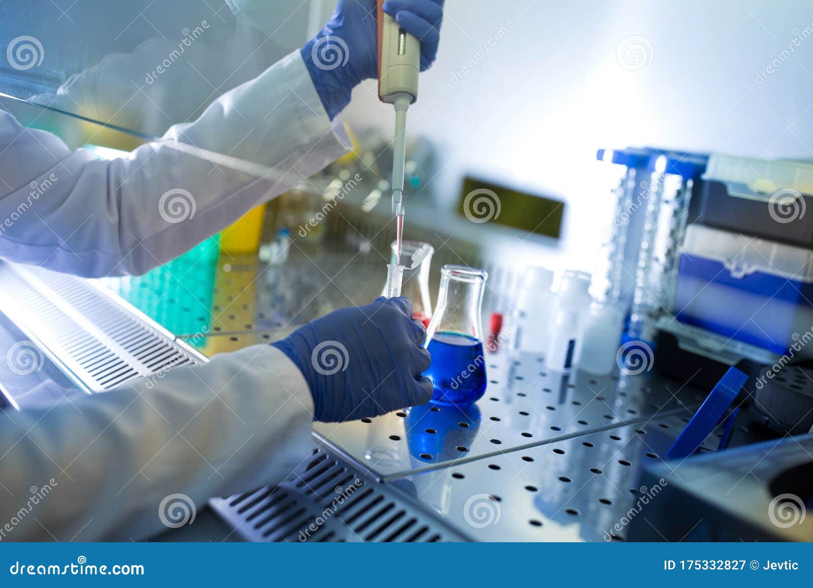 Biologist Working in Glow Box in Laboratory Stock Image - Image of ...