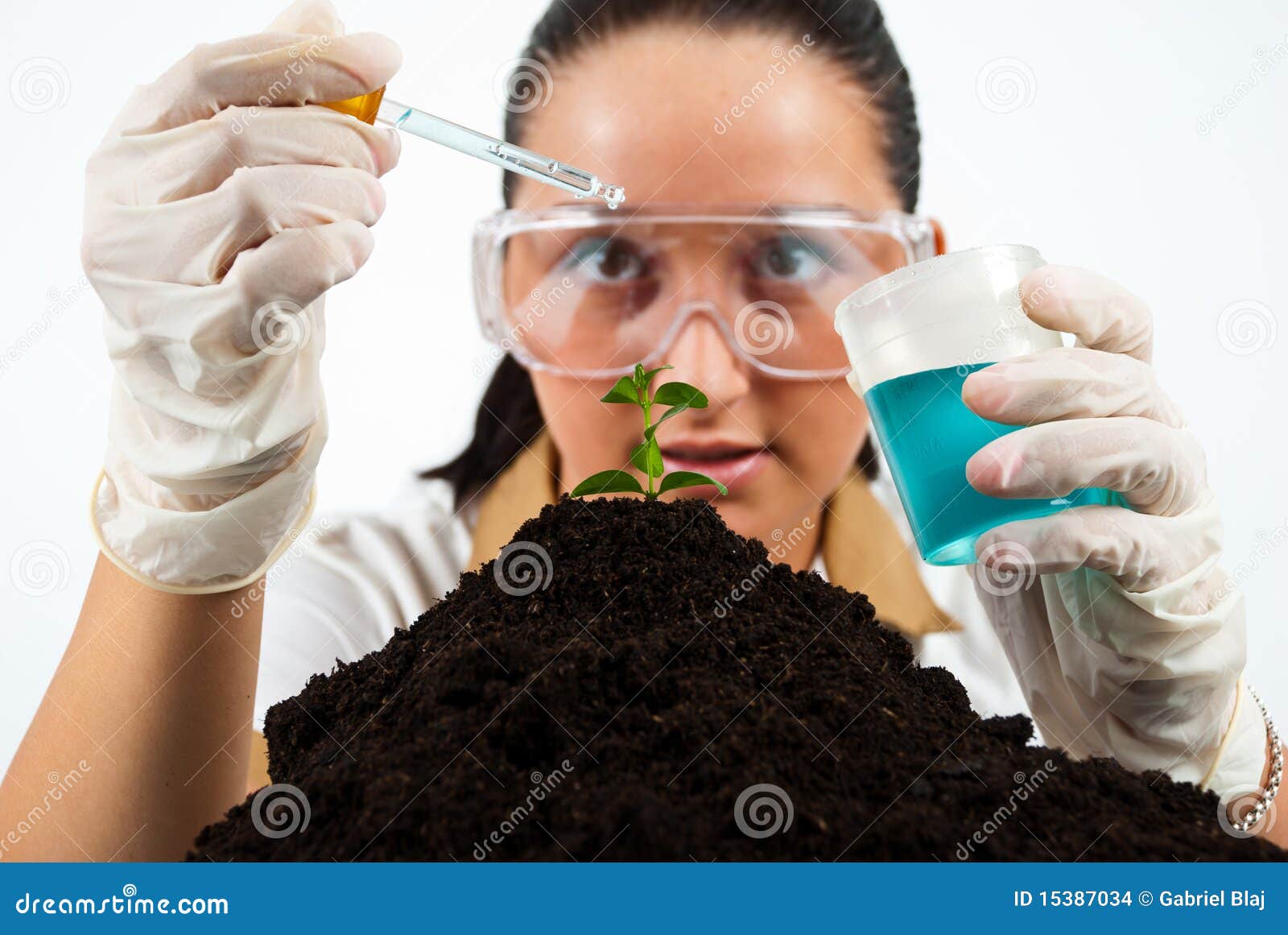 Biologiste au travail photo stock. Image du écologie - 15387034