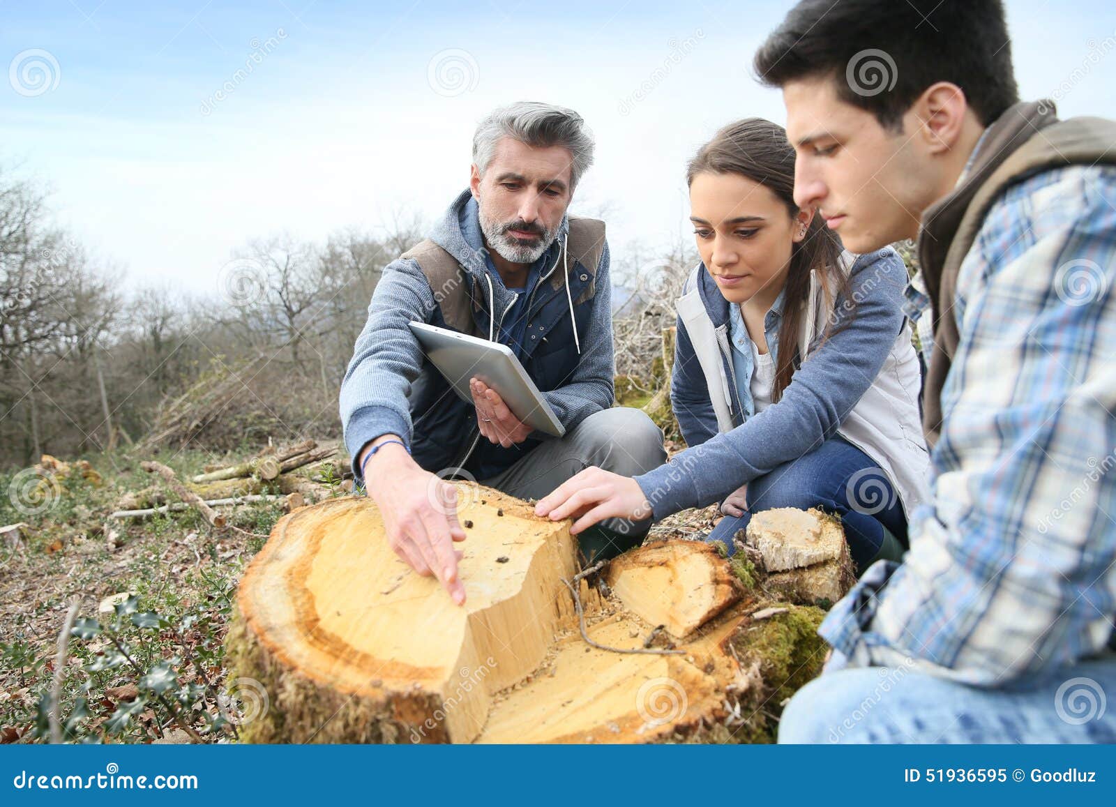 Biologists Analysing Tree Trunk Stock Image - Image of expertise, girl ...