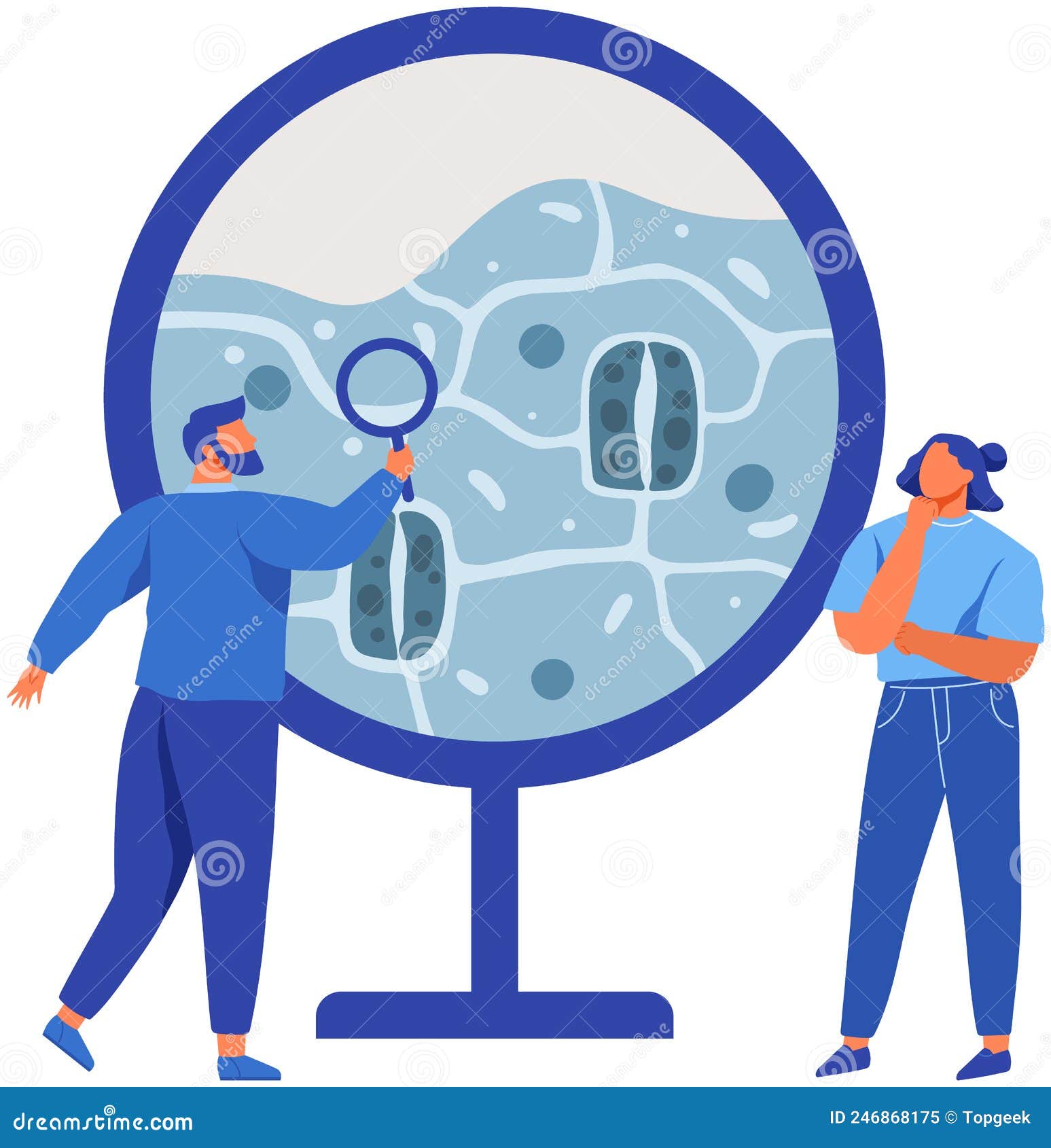 Biologists Study Structure of Plant Cell. Biological Research with ...