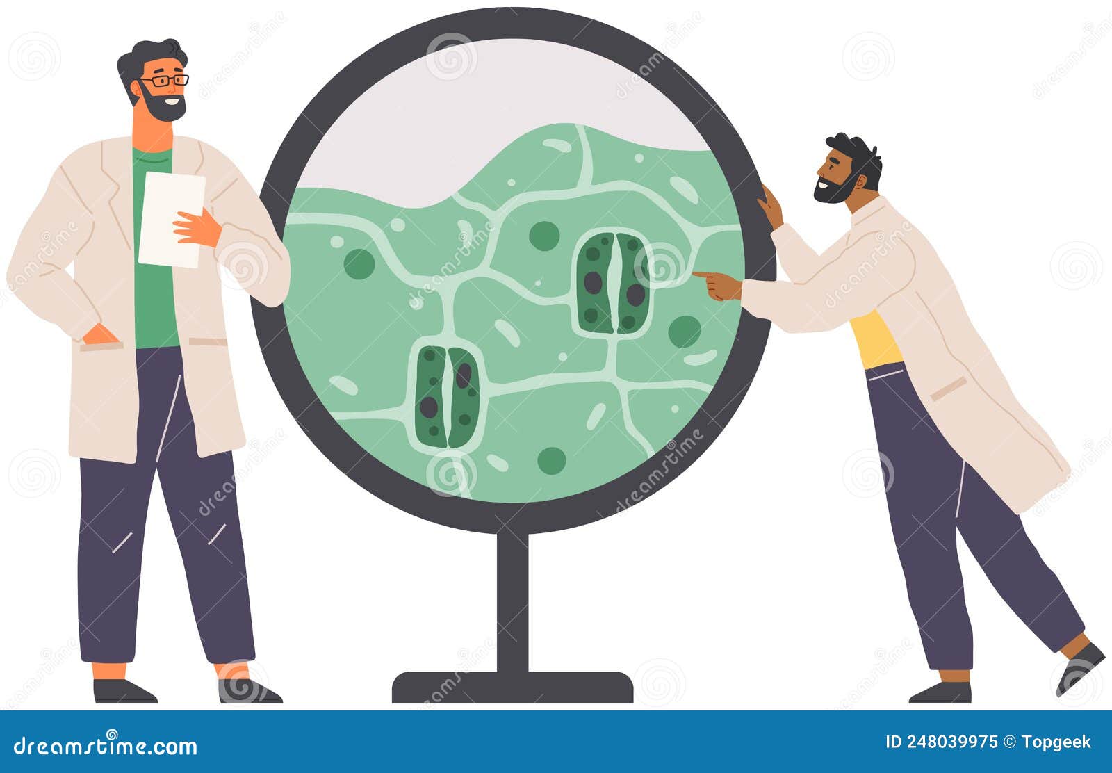 Biologists Study Structure of Plant Cell. Biological Research with ...
