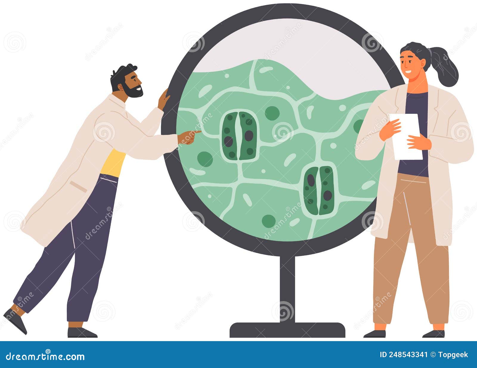 Biologists Study Structure Of Plant Cell. Biological Research With ...