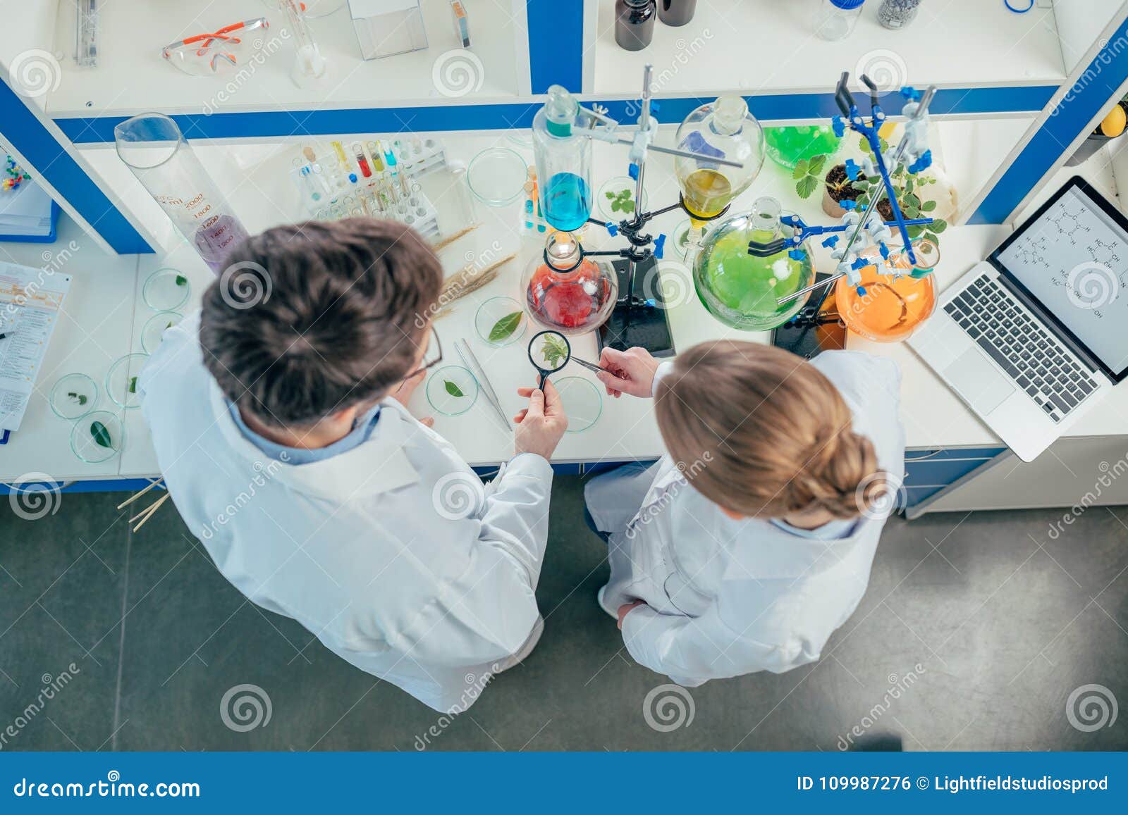Biologists Working in Lab with Tubes Stock Photo - Image of together ...