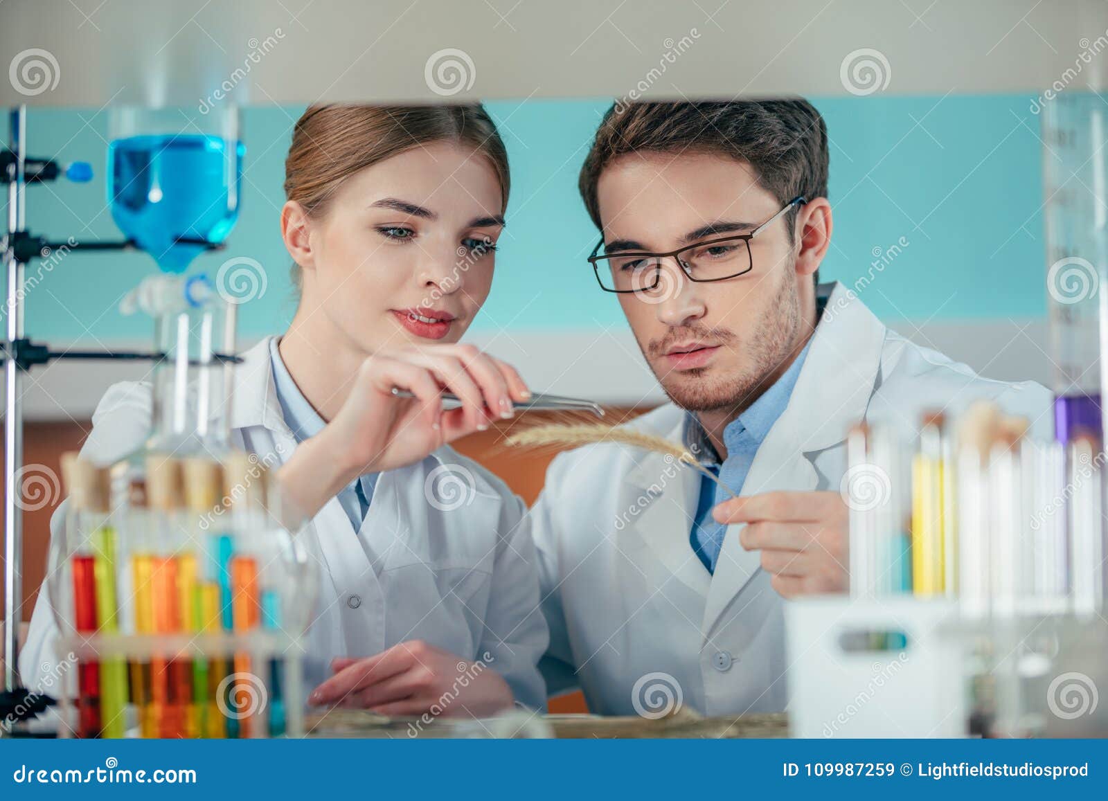 Biologists working in lab stock image. Image of together - 109987259