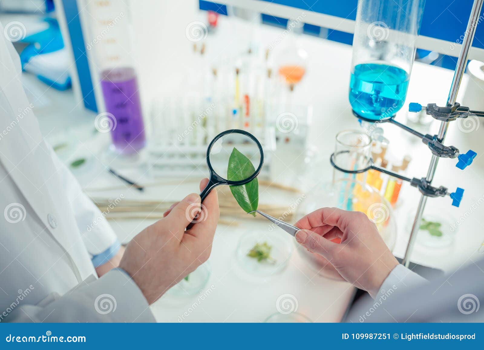 Biologists Working in Laboratory Stock Image - Image of biological ...
