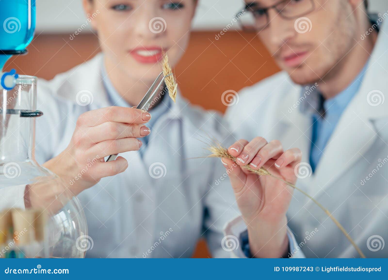 Biologists Working in Laboratory Stock Image - Image of researchers ...