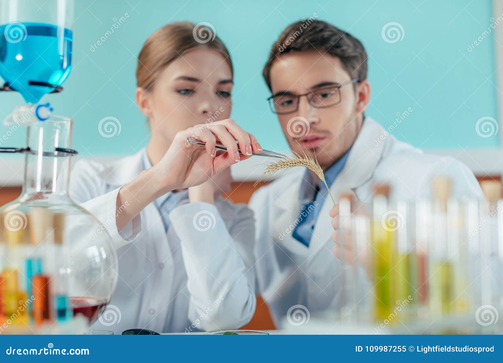 Biologists Working in Laboratory Stock Image - Image of scientists ...