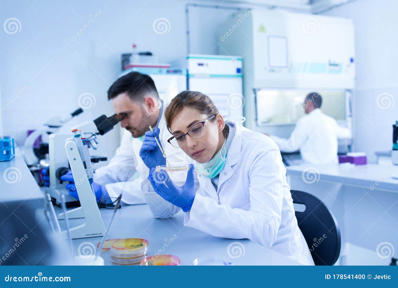 Biologists Working on Samples in Laboratory Stock Photo - Image of ...