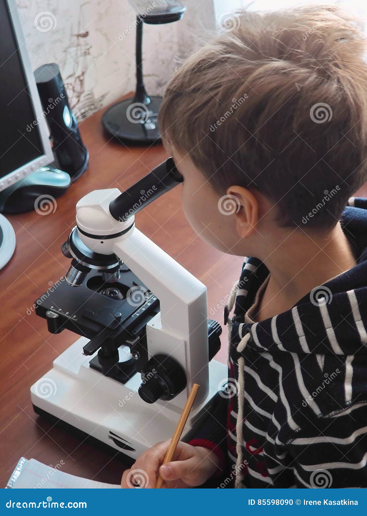 Biology Class. Young Boy in a Science Lab Studying Samples Under the ...