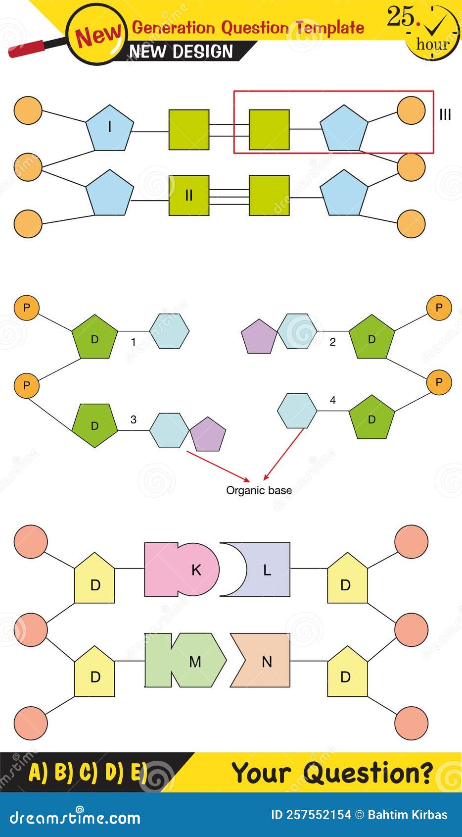Mechanism Of DNA Replication. Replication Model With Zipper Royalty ...