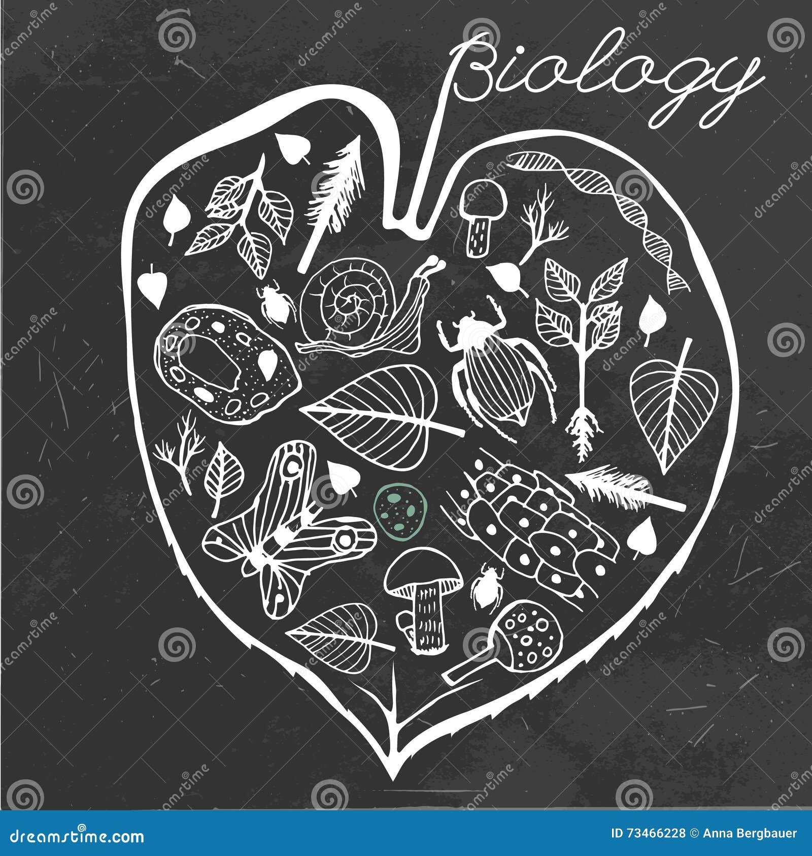 Biology Doodles vector stock vector. Illustration of school - 73466228