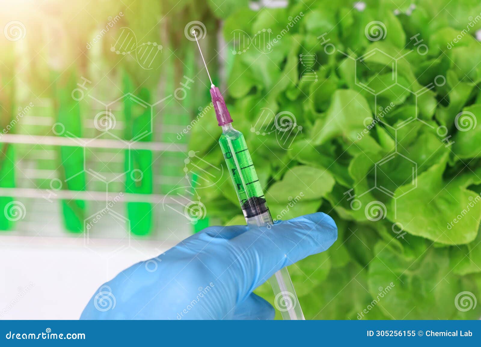 Biology Experiment with Green Vegetables in Laboratory Stock Image ...
