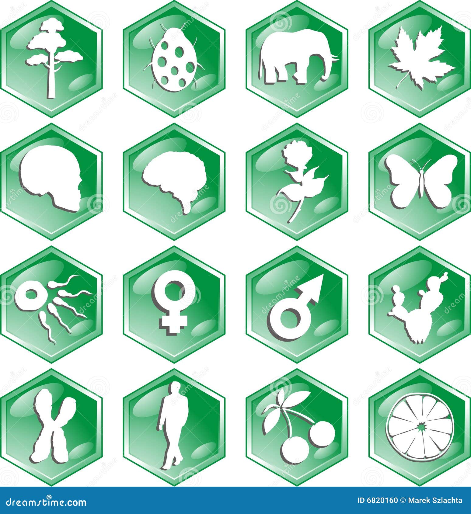 Biology icons stock vector. Illustration of cherries, leaf - 6820160