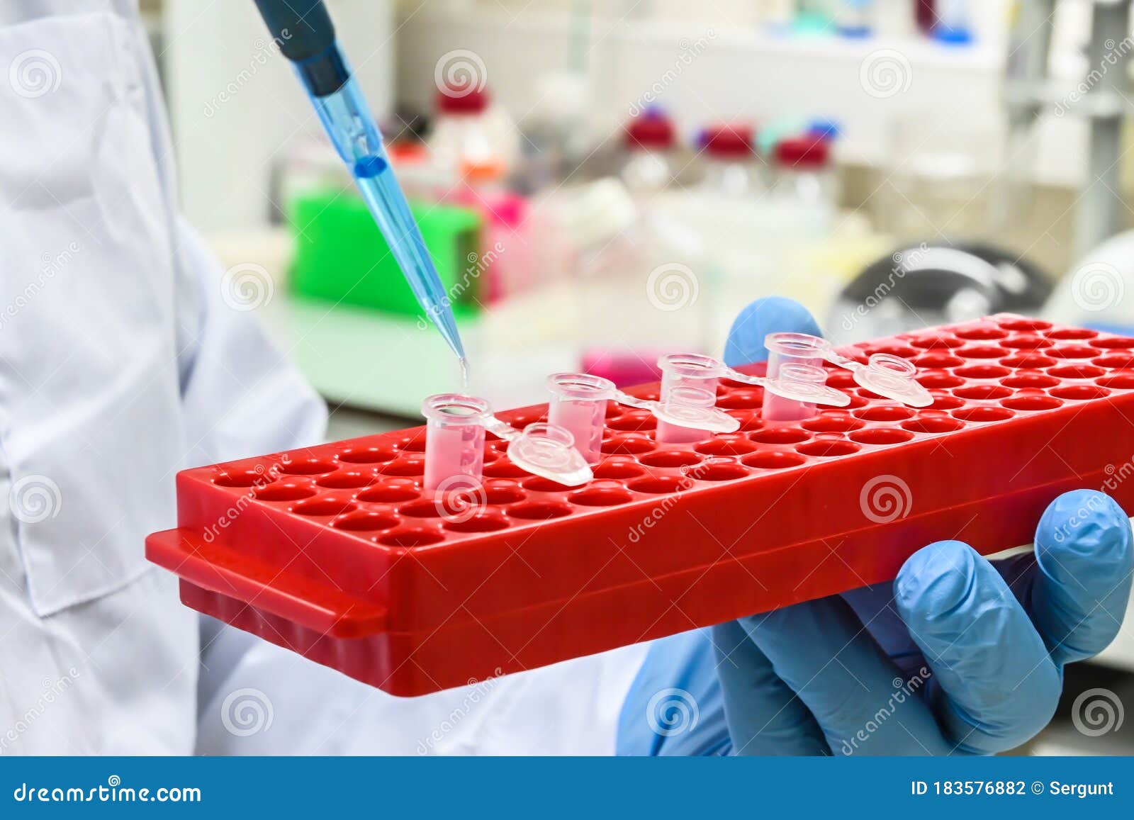 In the biology lab stock photo. Image of equipment, biology - 183576882
