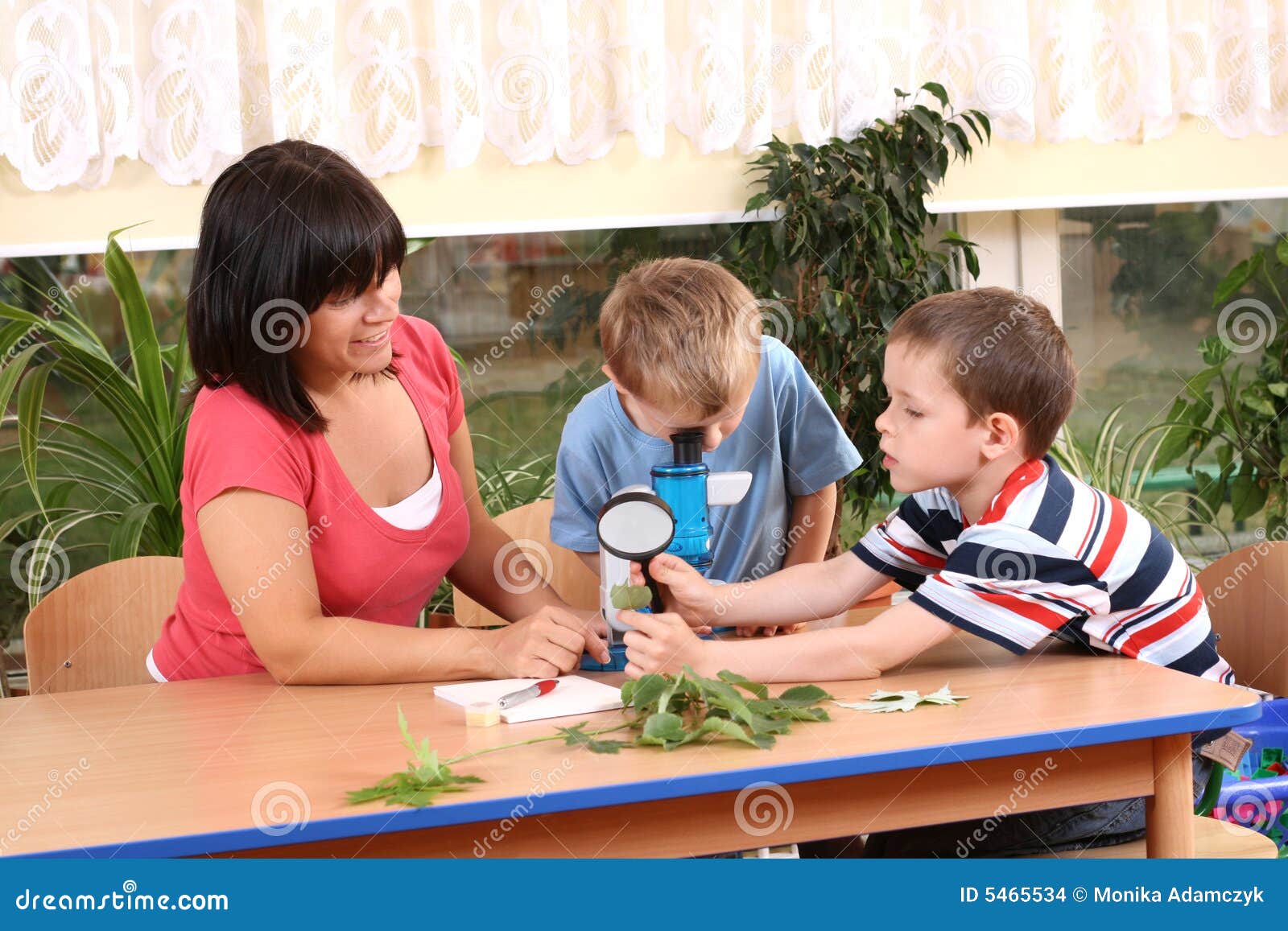 Biology Lesson In Primary School. Little Child Boy In Graduation Hat ...