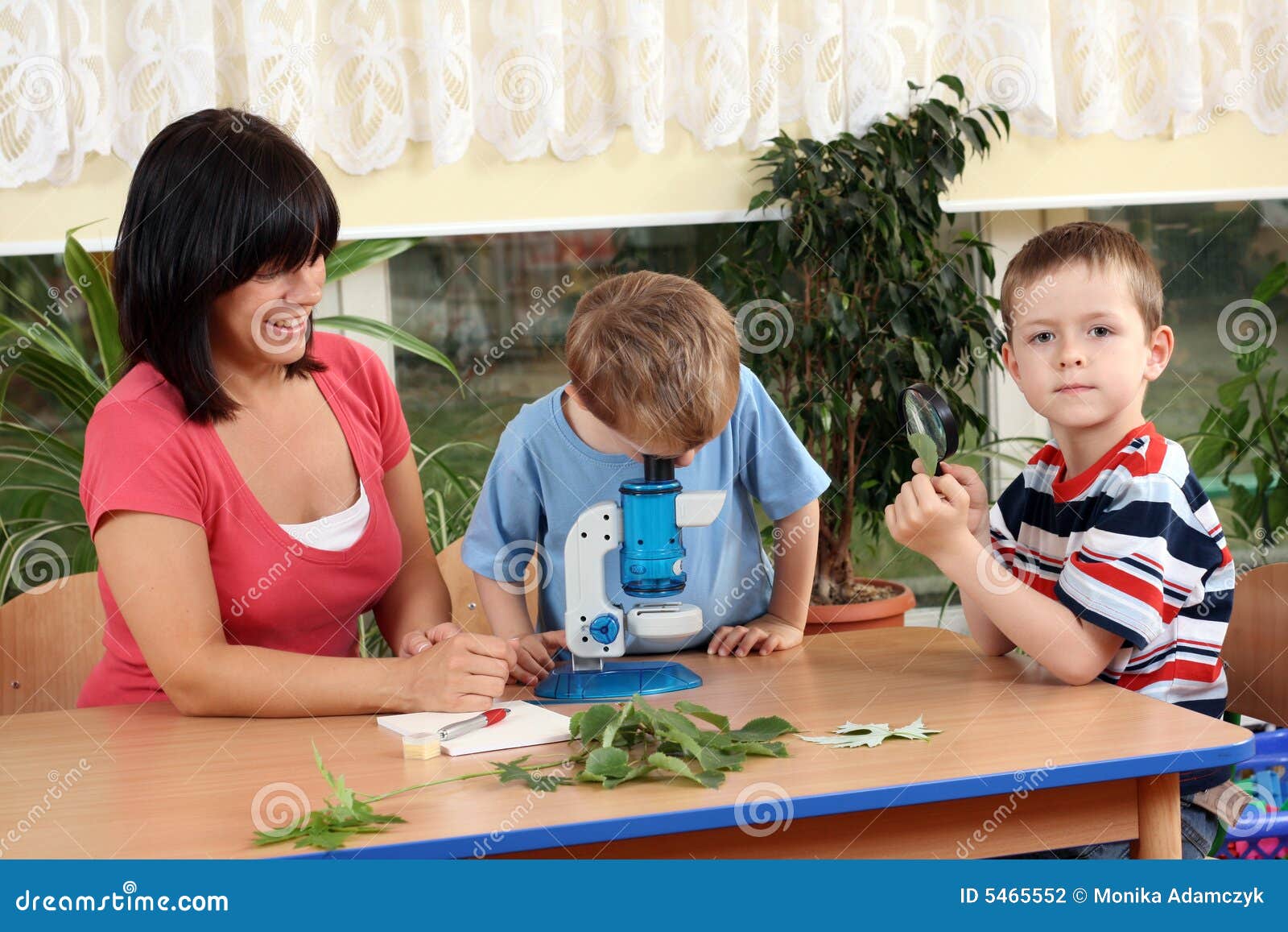 Biology lesson stock photo. Image of glass, chemistry - 5465552