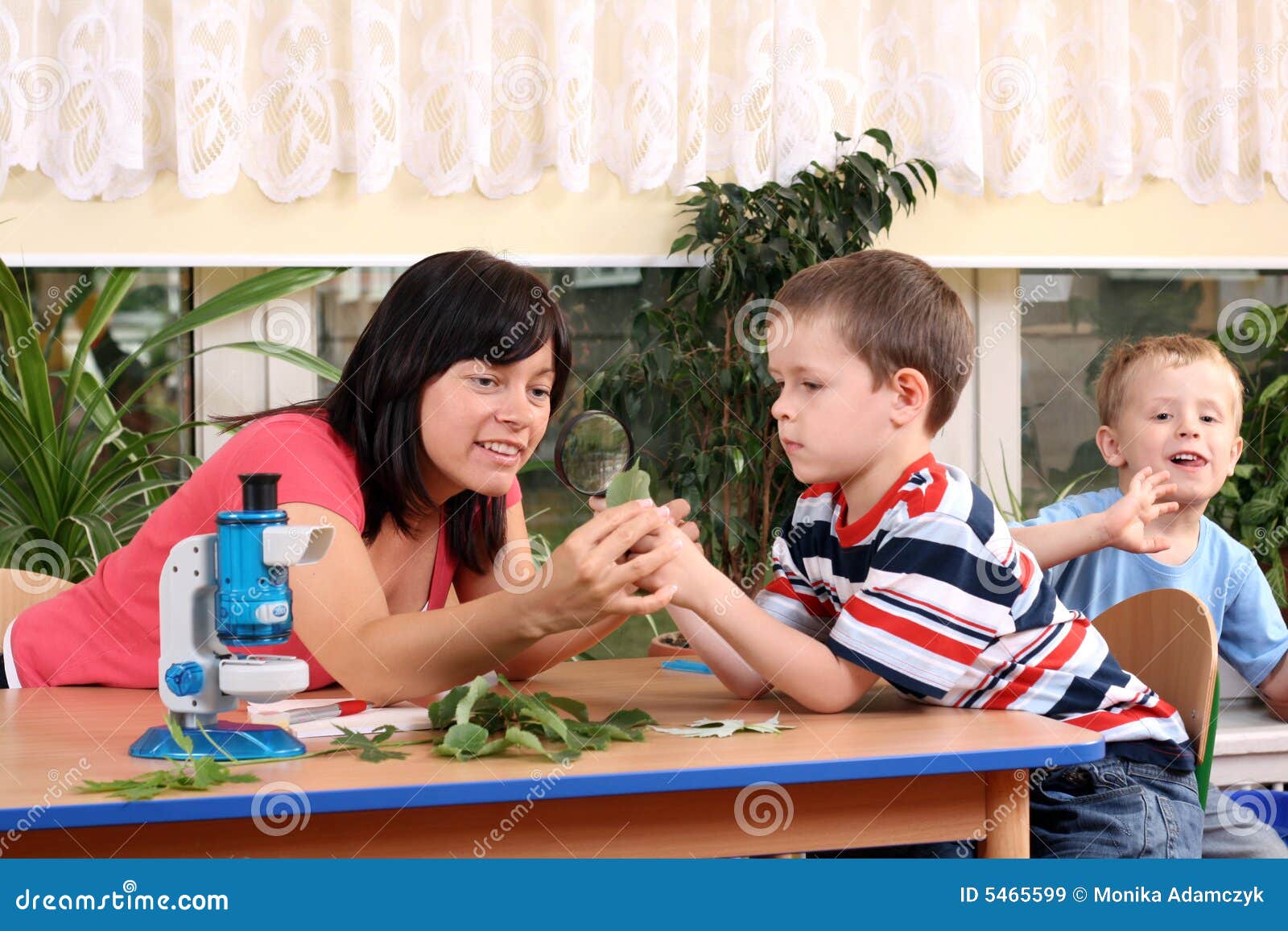 Biology Lesson In Primary School. Little Child Boy In Graduation Hat ...
