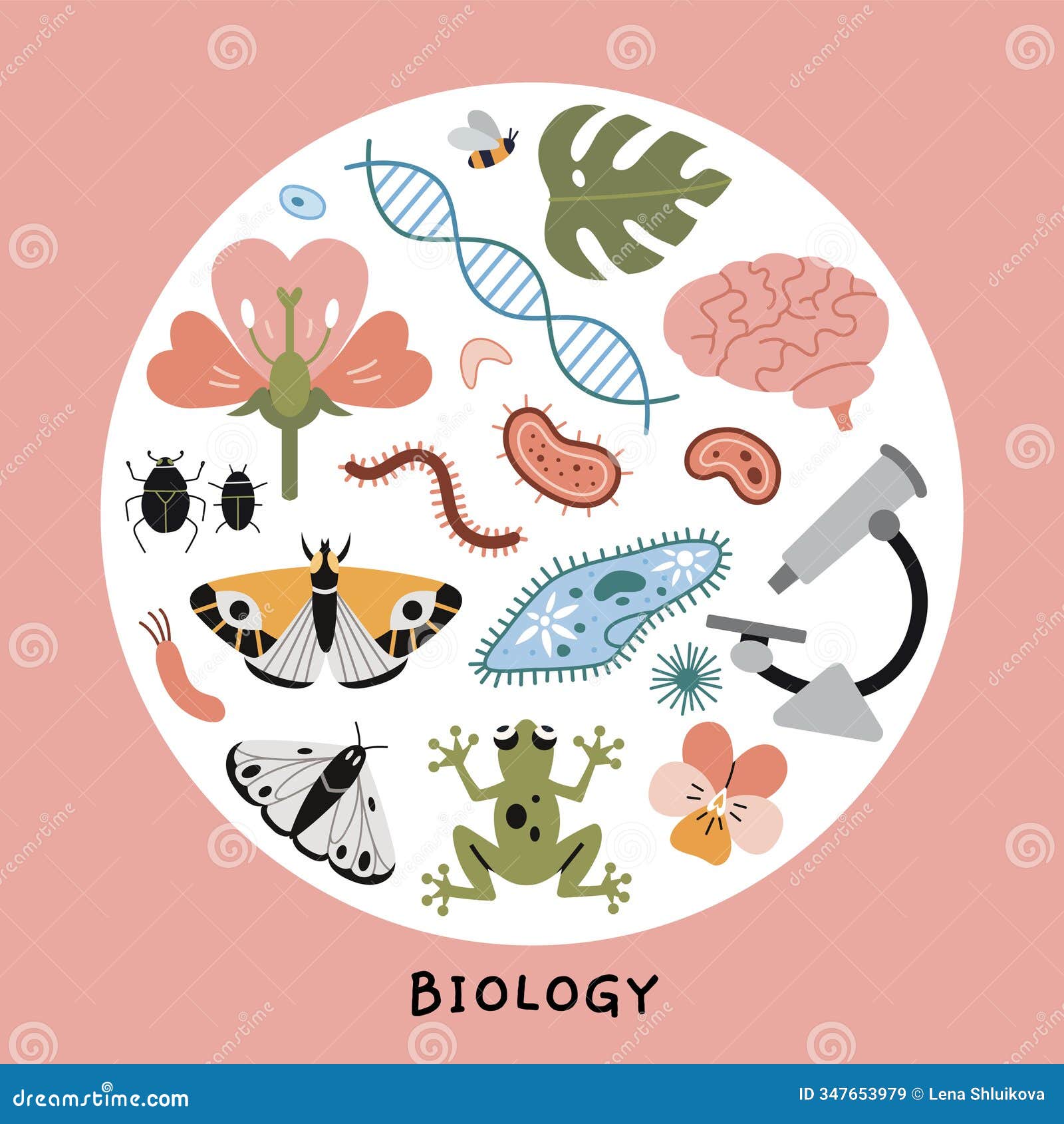Biology Lesson Symbols On White Paper Stock Photography | CartoonDealer ...