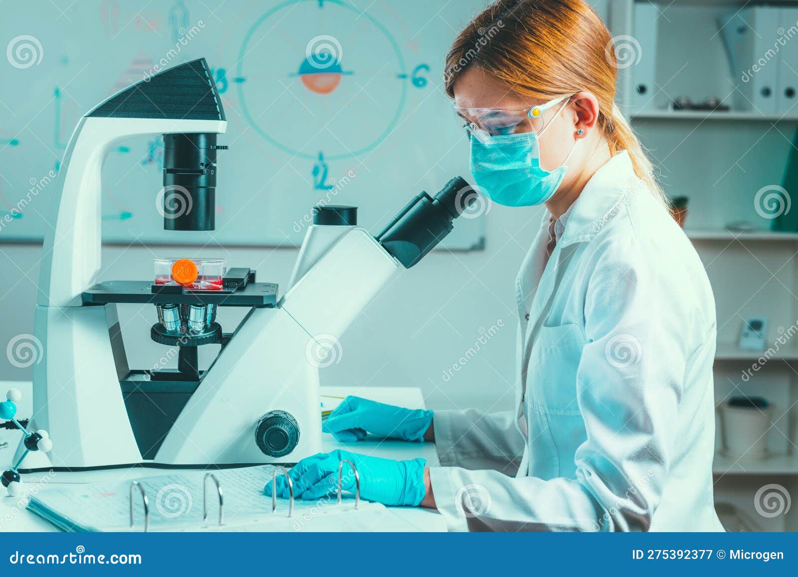 Biotechnology Laboratory Work Stock Image - Image of blue, laboratory ...