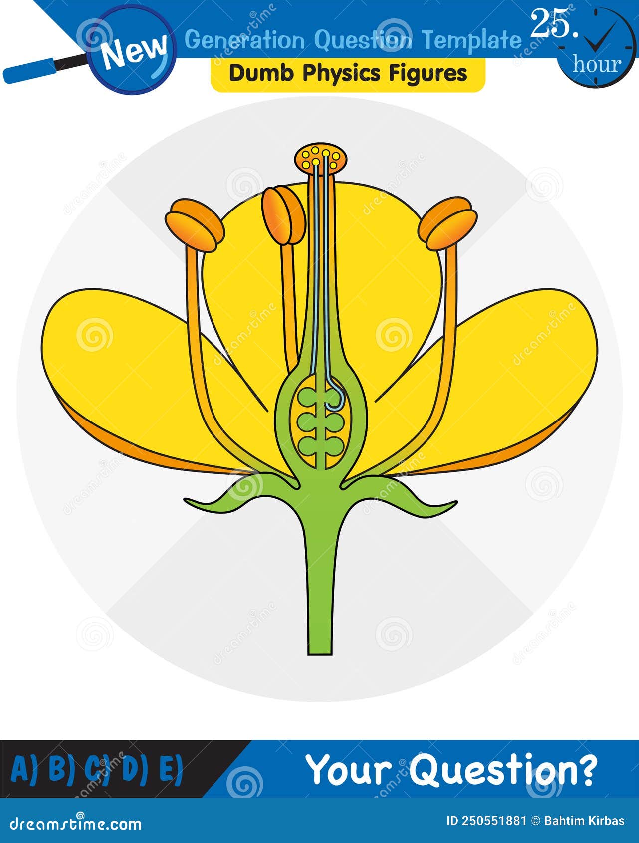 Biology, the Structure of the Flower, Next Generation Question Template ...