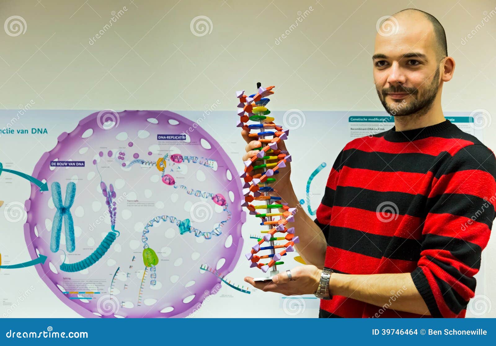 Biology Teacher Showing DNA Model Stock Photo - Image of atoms ...