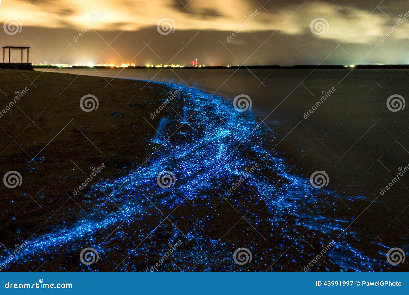 Bioluminescence. Illumination of Plankton at Maldives. Stock Image ...