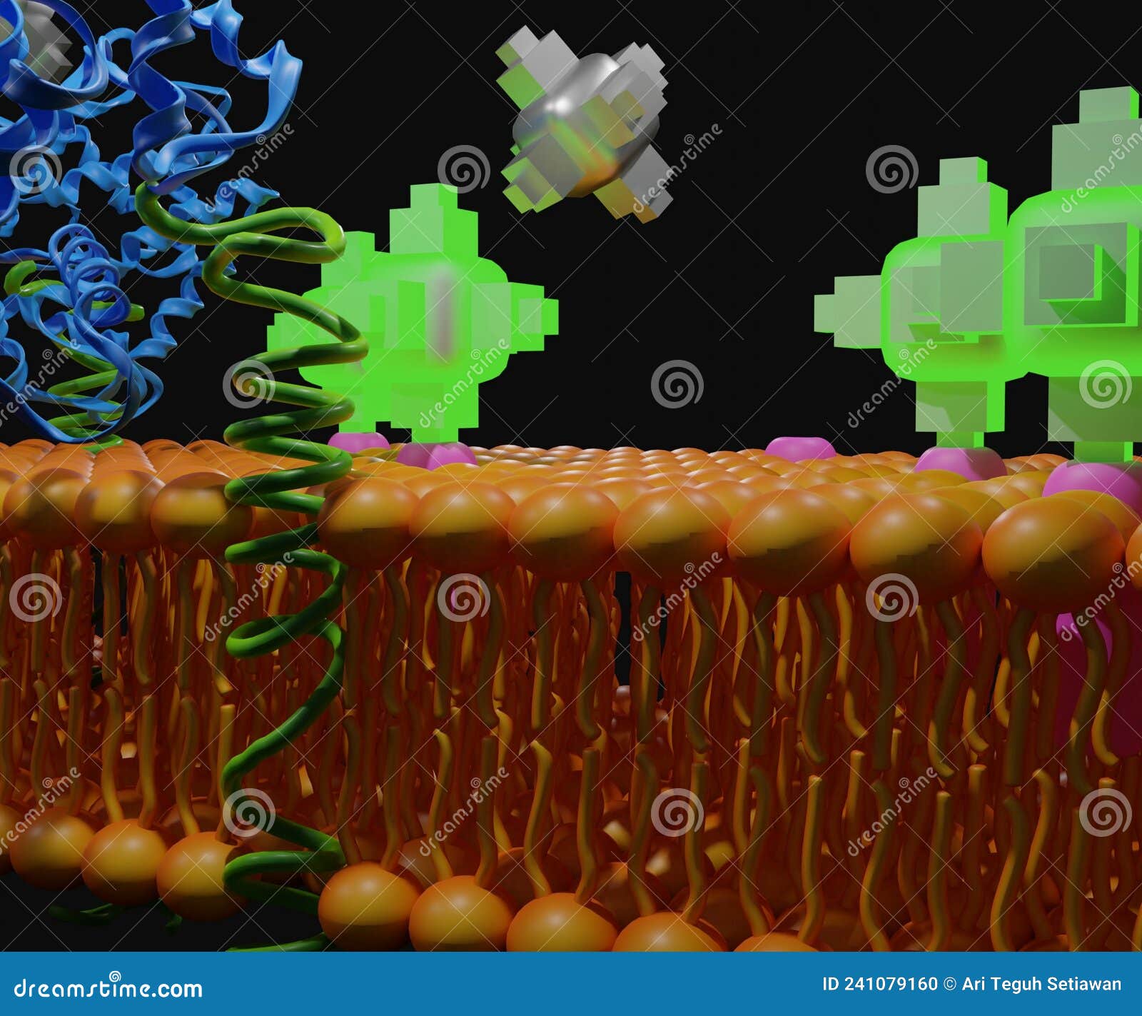 Bioluminescence Probes for Bio Detection on Cell Membrane Stock ... Bioluminescence Probes for Bio Detection on Cell Membrane Stock ...